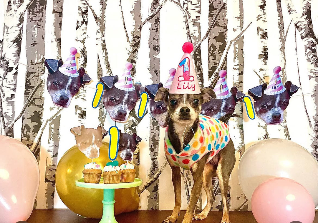 Personalized Dog Party Pack – PartyAnimal